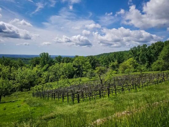 Visiting Thomas Jefferson's Monticello - Casual Travelist
